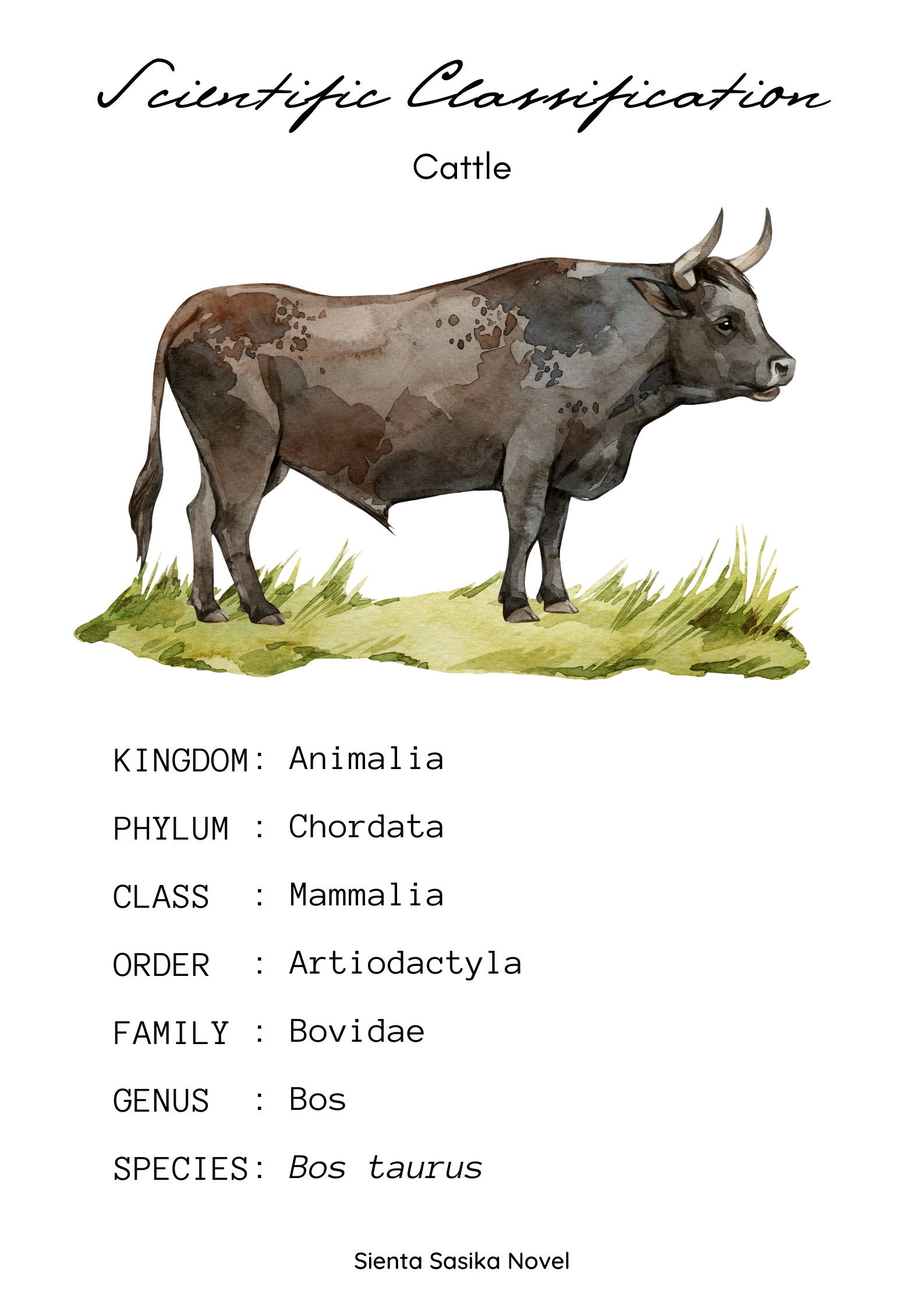 CATTLE UNIT STUDY nature Unit Study Total 272 Pages Cow Unit Study ...