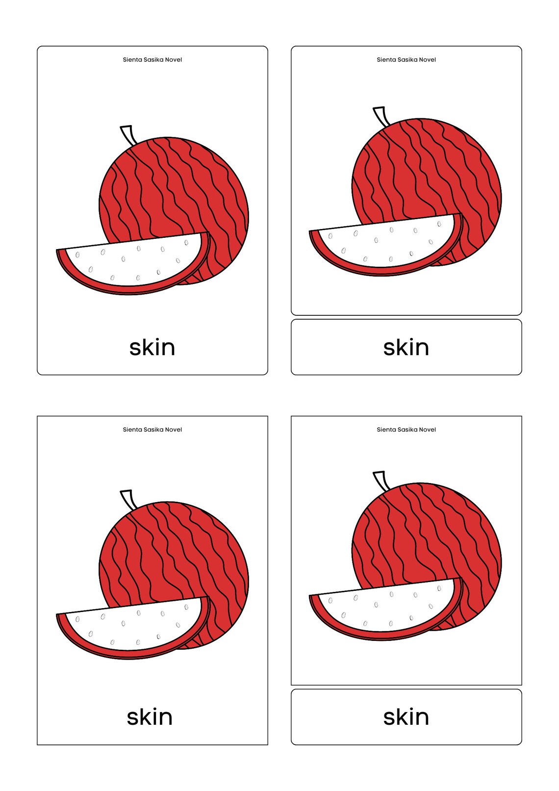 PART OF FRUIT: Watermelon Semangka Learning Anatomy of Fruit Botany ...