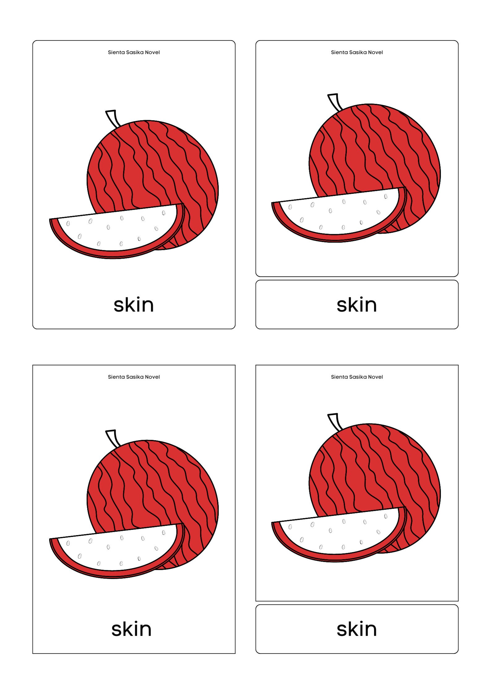 PART OF FRUIT: Watermelon Semangka Learning Anatomy of Fruit Botany ...