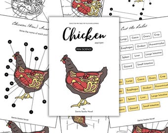 Mini Science: Learning Dog Anatomy, Animal Anatomy, Anatomy of a Dog - Etsy