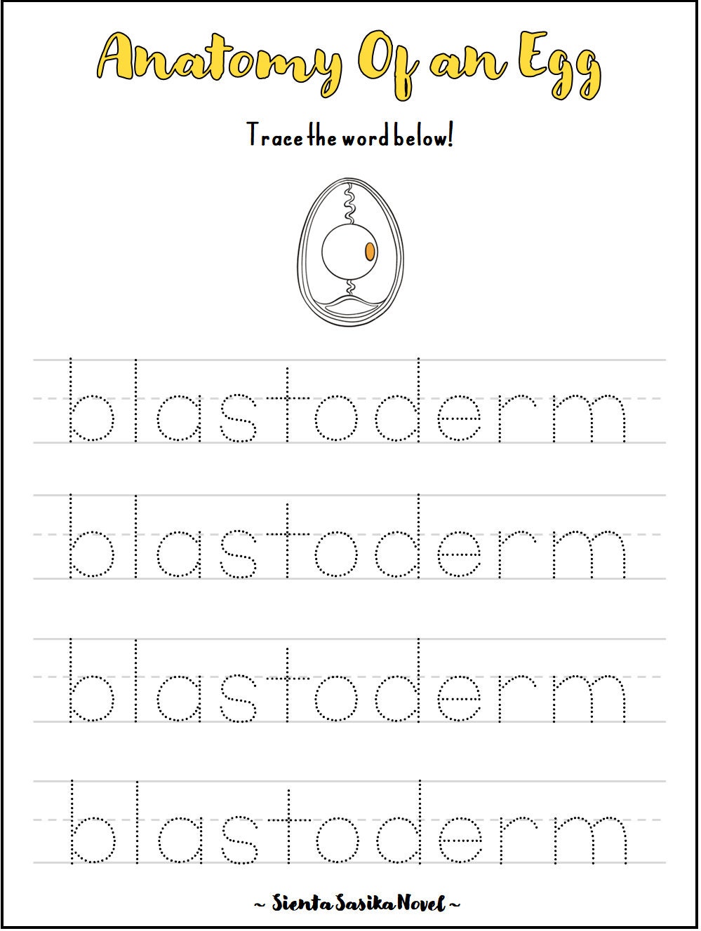 ANATOMY of AN EGG: Montessori 3 Parts Card and 50 Worksheet - Etsy