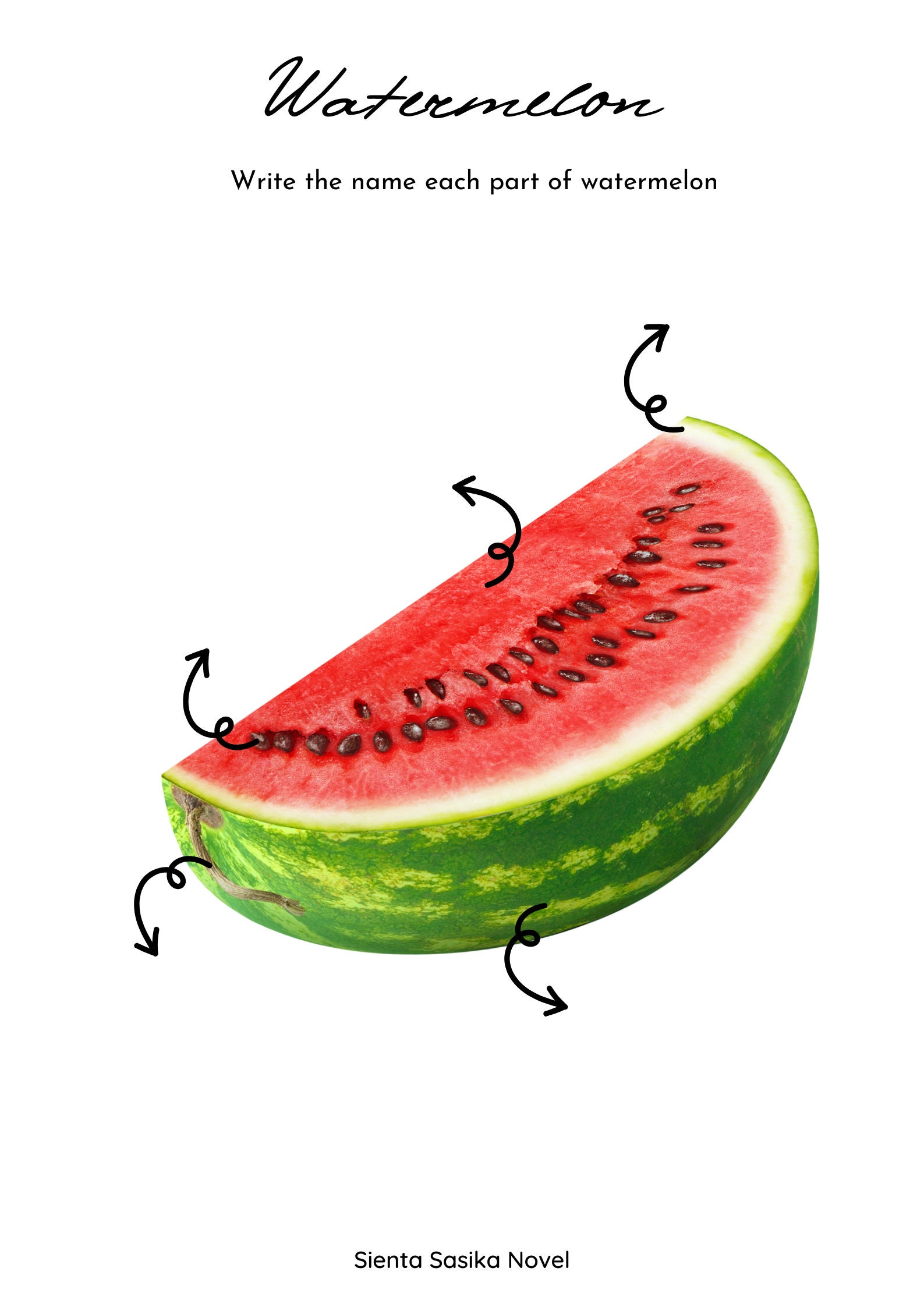 PART OF FRUIT: Watermelon Semangka Learning Anatomy of Fruit Botany ...