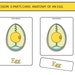 ANATOMY of AN EGG: Montessori 3 Parts Card and 50 Worksheet Pages Egg ...