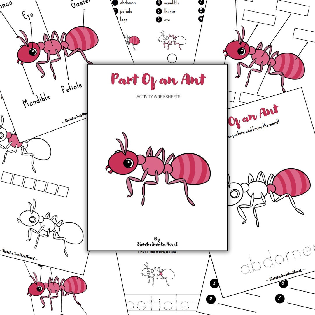 ANT: Montessori 3 Parts Card and 76 Pages Worksheet | Tree, Science ...