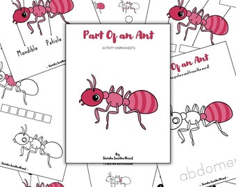 Montessori 3 Part Cards Parts of an Ant - Etsy