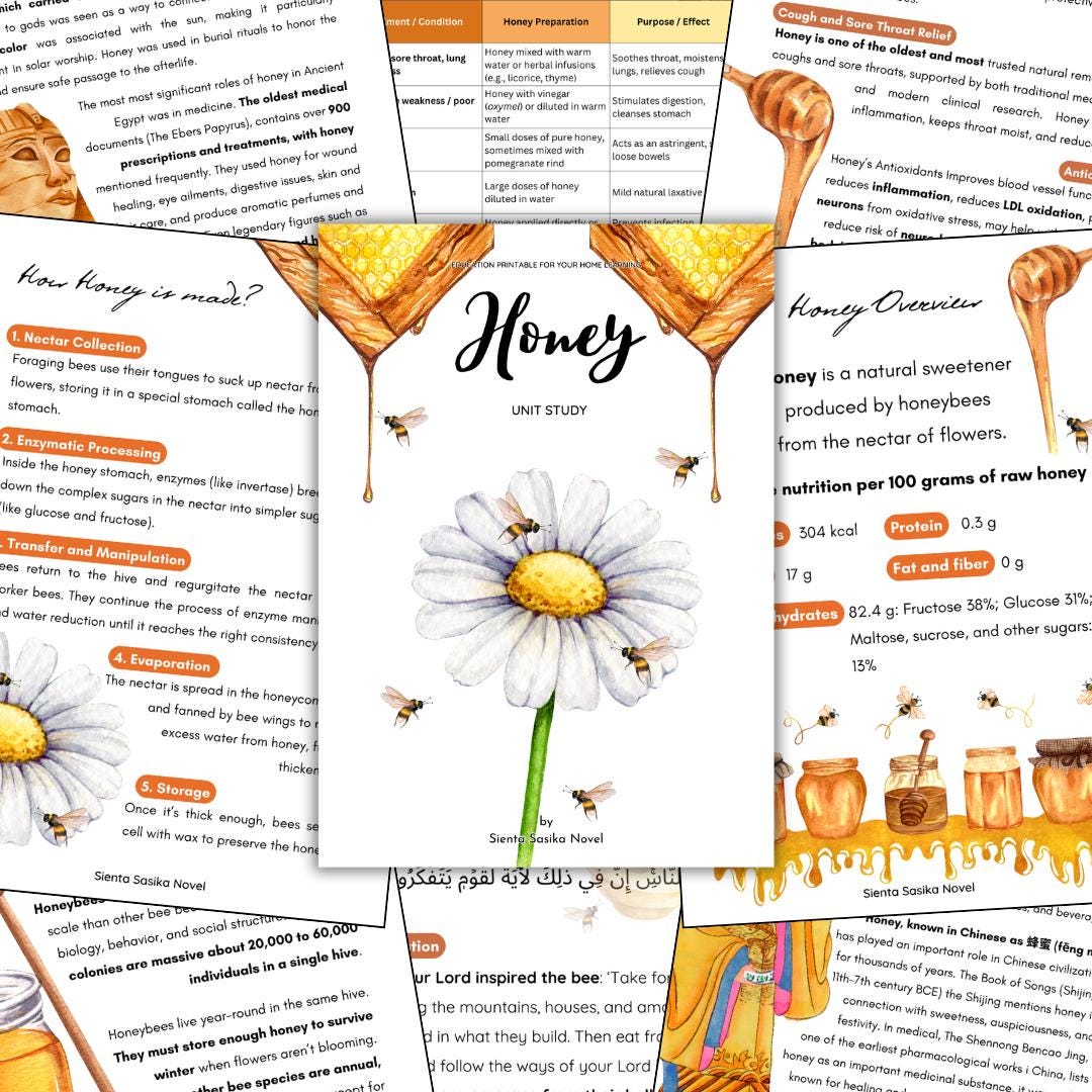 HONEY Mini Study: Homeschool Science Printable (instant Download) - Etsy