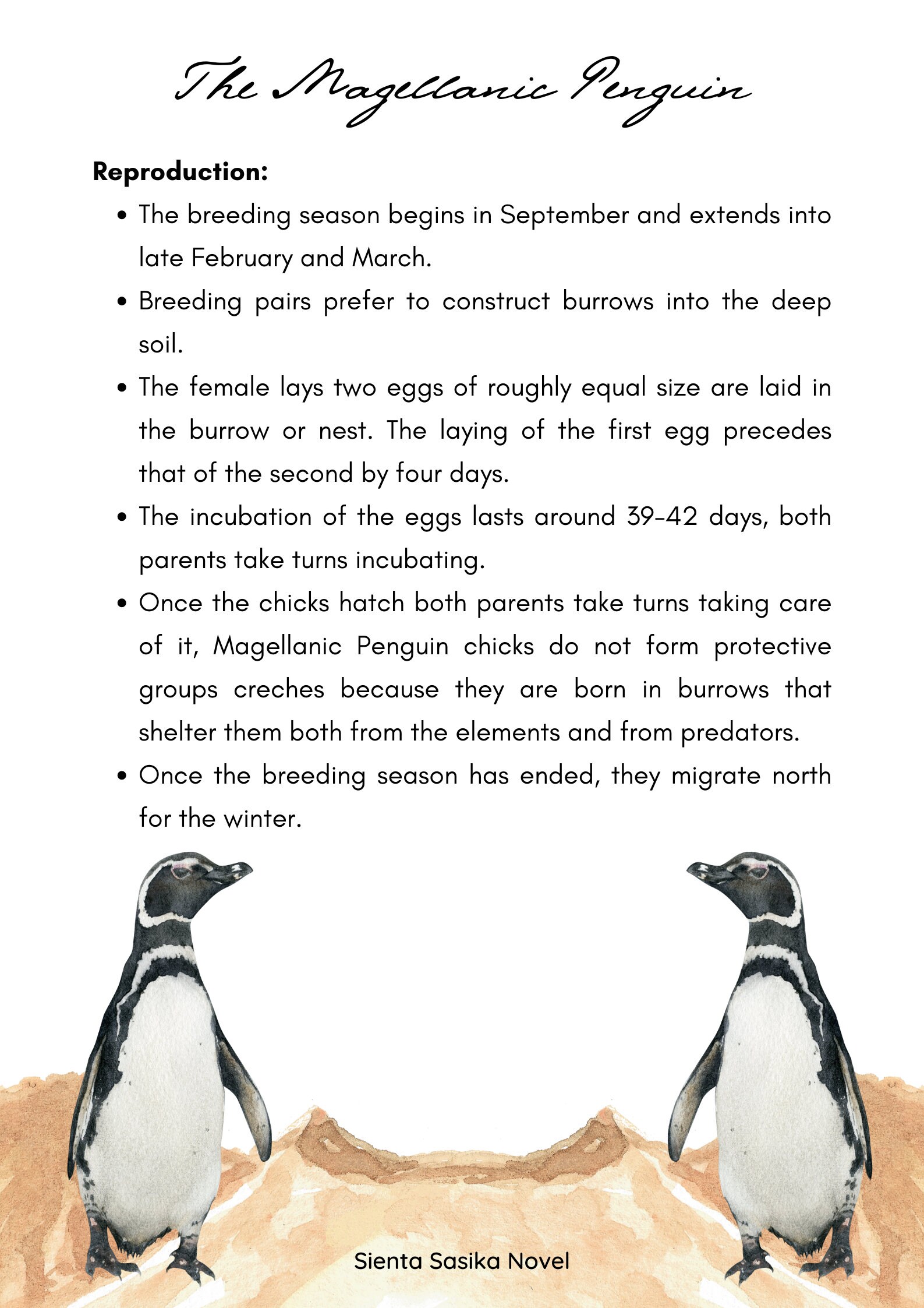 PENGUINS UNIT STUDY [nature Unit Study] Total 460 Pages | Science ...