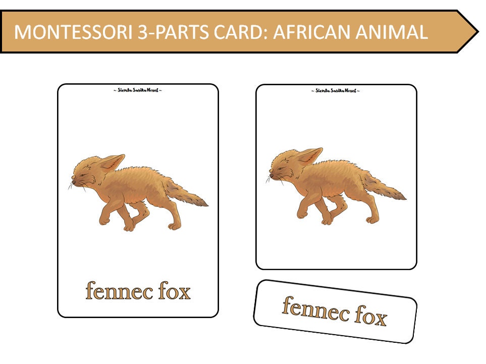 BUNDLE MONTESSORI 3 Parts Card: African, American, Australian, Asian ...