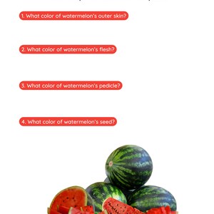 PART OF FRUIT: Watermelon Semangka Learning Anatomy of Fruit Botany ...