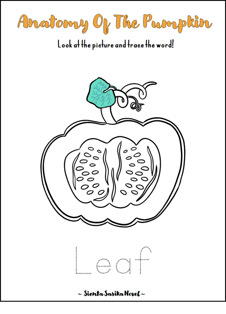 ANATOMY of THE PUMPKIN: Montessori 3 Parts Card and 43 Pages - Etsy