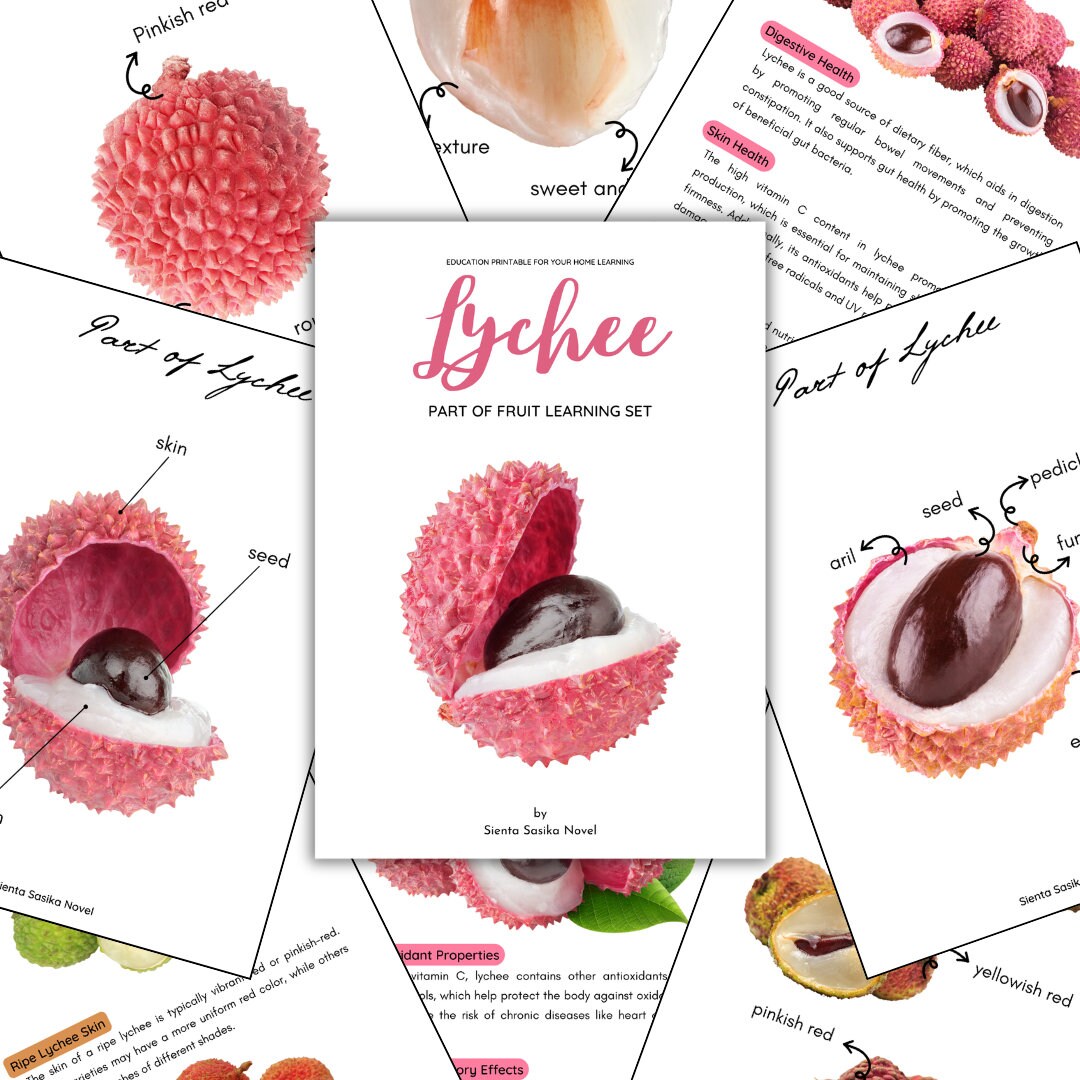PART OF FRUIT: Lychee Leci Litchi Learning Anatomy of Fruit Botany Area ...