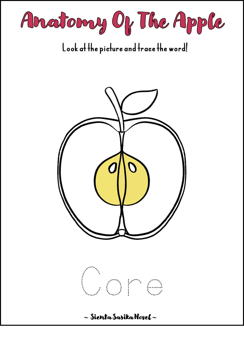 ANATOMY of THE APPLE: Montessori 3 Parts Card and 40 Pages - Etsy Australia