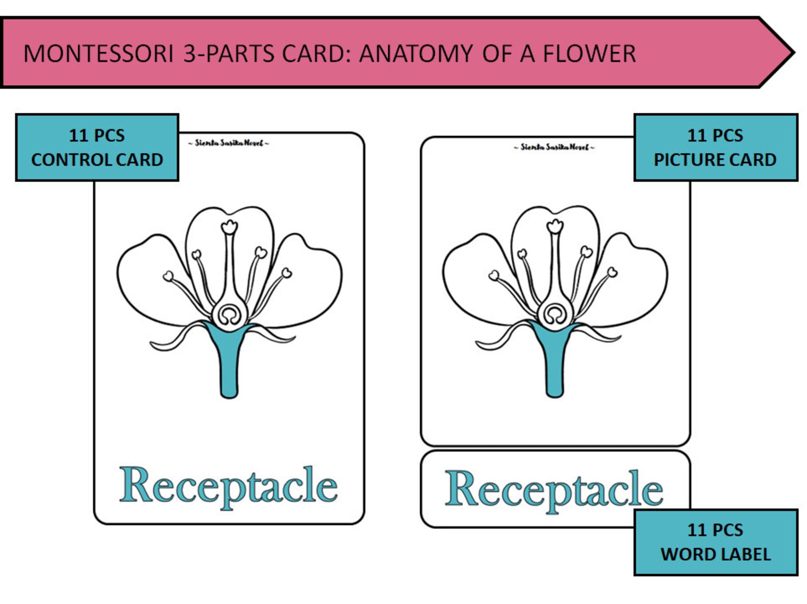 ANATOMY of A FLOWER: Montessori 3 Parts Card and 50 Pages Worksheet ...