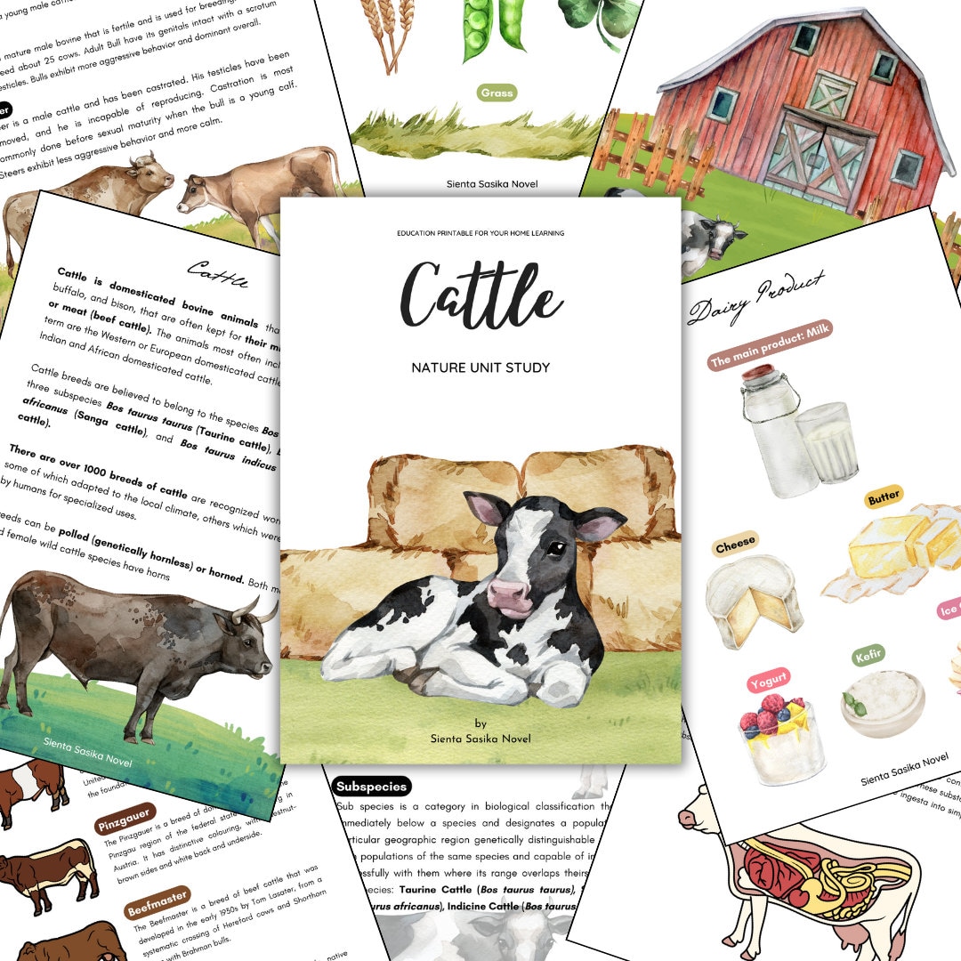 CATTLE UNIT STUDY [nature Unit Study] Total 272 Pages | Cow Unit Study ...