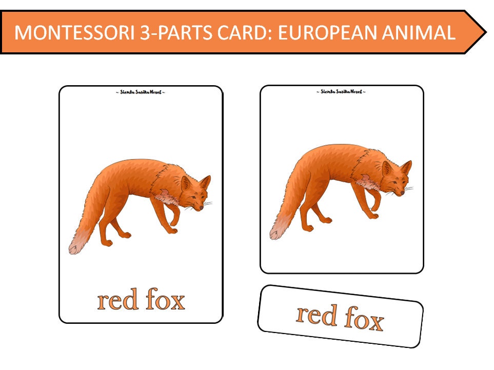 BUNDLE MONTESSORI 3 Parts Card: African, American, Australian, Asian ...