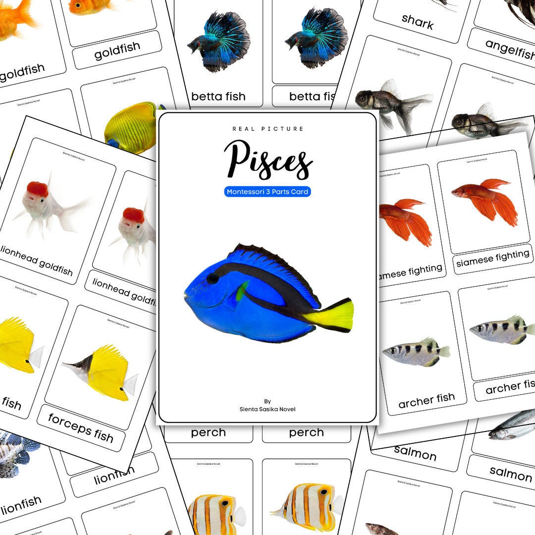 MONTESSORI 3 PARTS CARD: Real Picture of Fish (pisces) | Homeschool ...
