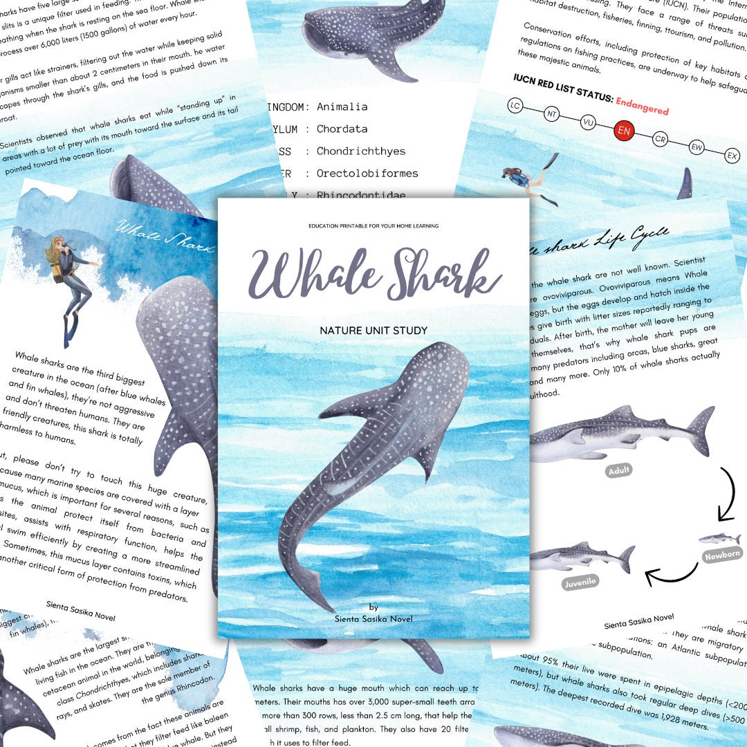 WHALE SHARK Unit Study [nature Unit Study] Total 127 Pages | Science ...