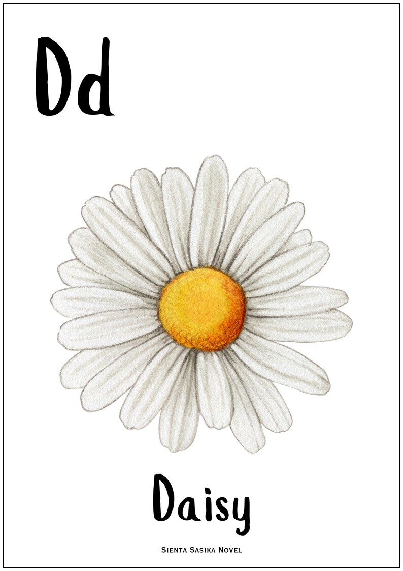 NATURE ALPHABET CARDS, Watercolor Alphabet Cards, Homeschool, Nature ...