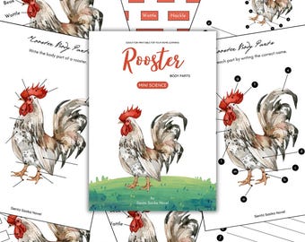 Mini Science: Learning Cow Body Parts, Animal Anatomy - Etsy