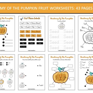 ANATOMY of THE PUMPKIN: Montessori 3 Parts Card and 43 Pages - Etsy