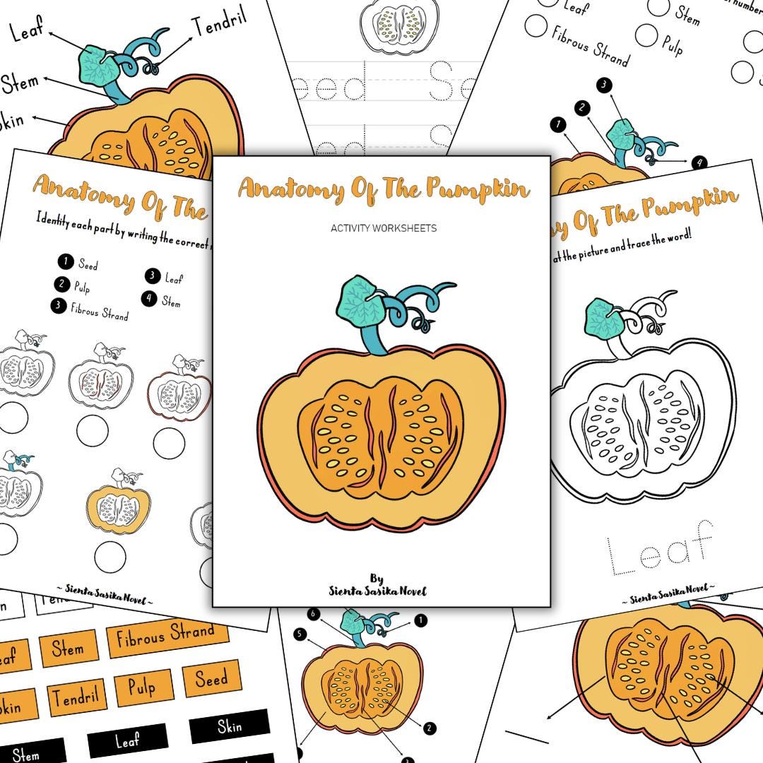 ANATOMY of THE PUMPKIN: Montessori 3 Parts Card and 43 Pages Worksheet ...