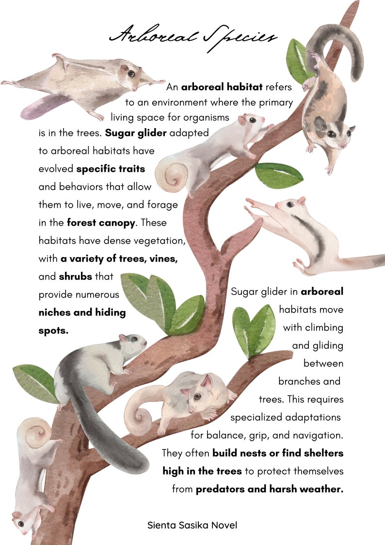 SUGAR GLIDER Unit Study [nature Unit Study] Total 211 Pages ...