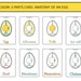 ANATOMY of AN EGG: Montessori 3 Parts Card and 50 Worksheet Pages Egg ...
