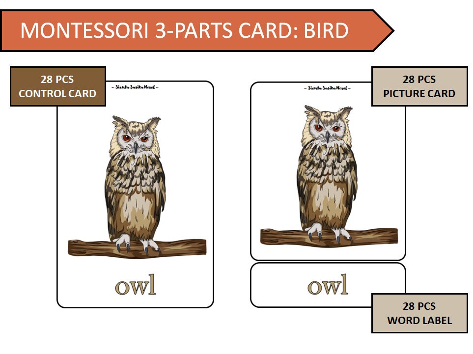 BUNDLE MONTESSORI 3 Parts Card: Fish, Insects, Birds Flash Cards Total ...
