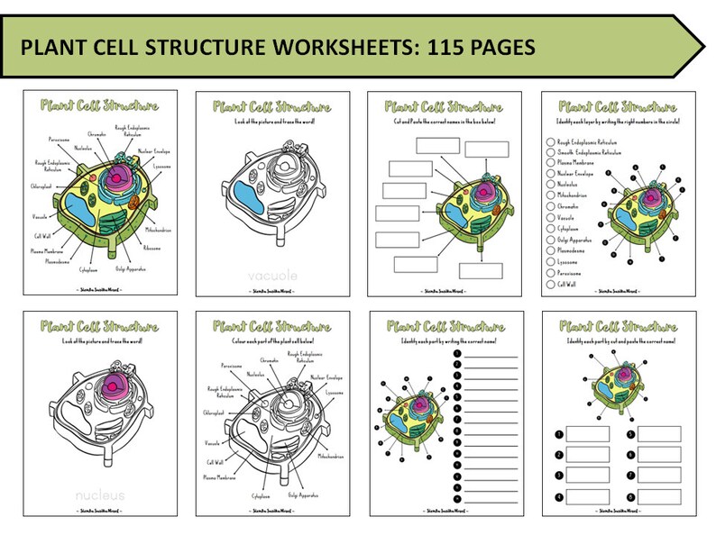 PLANT CELL STRUCTURE: Montessori 3 Parts Card and 115 Pages Worksheet ...