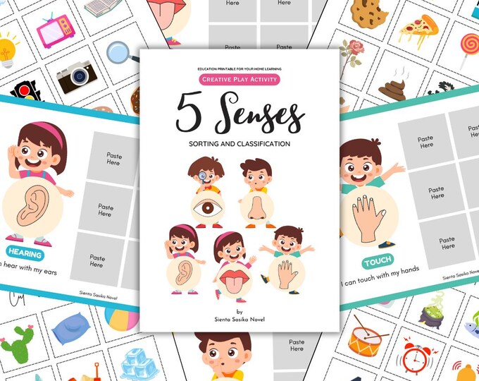 Buy Five Sense Sorting Mats Activity Online in India - Etsy