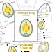 ANATOMY of AN EGG: Montessori 3 Parts Card and 50 Worksheet Pages Egg ...
