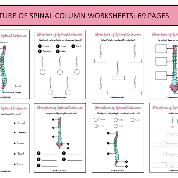 Spinal Column Card - Etsy