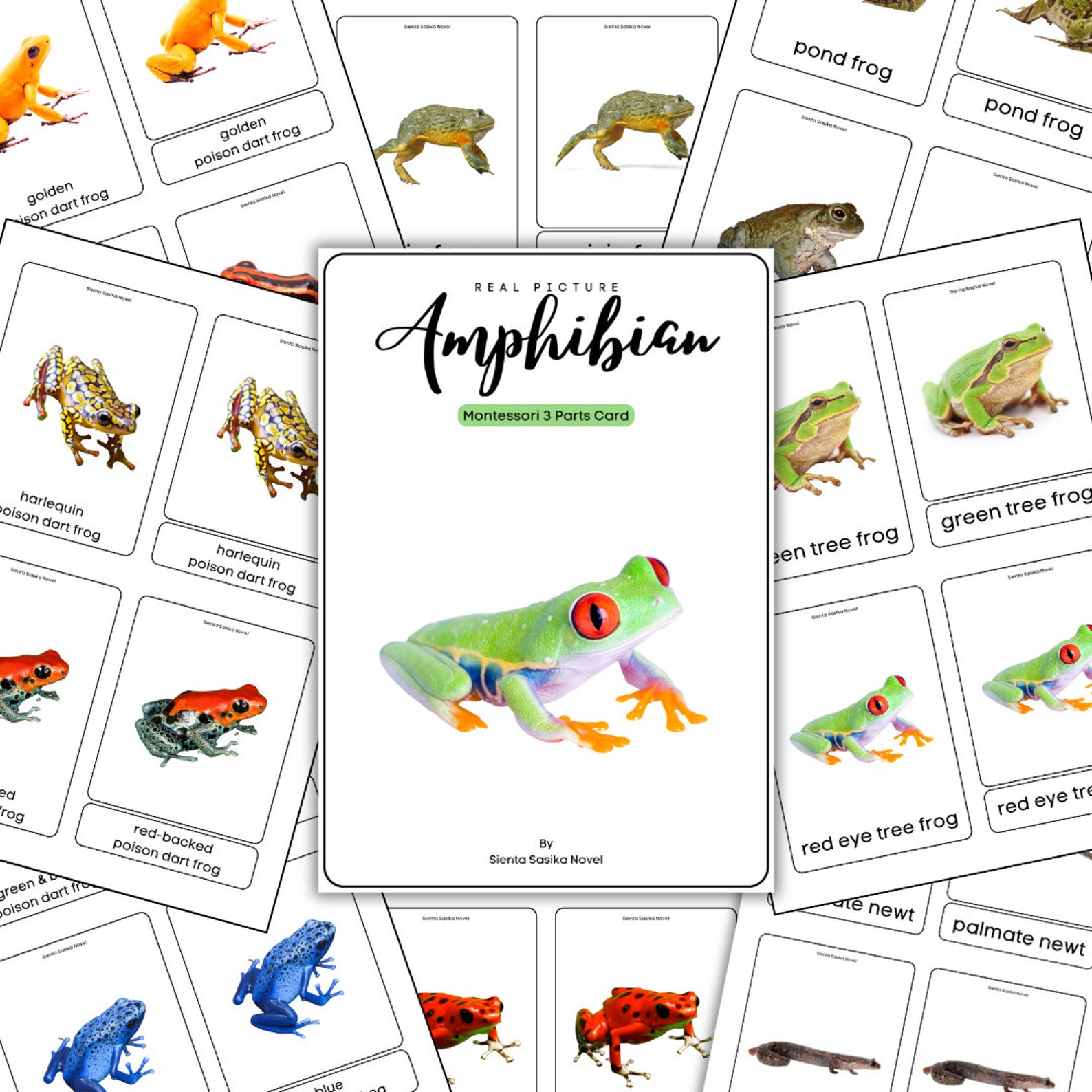 MONTESSORI 3 PARTS CARD: Real Picture of Amphibian | Homeschool, Home ...