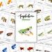 MONTESSORI 3 PARTS CARD: Real Picture of Amphibian Homeschool, Home ...
