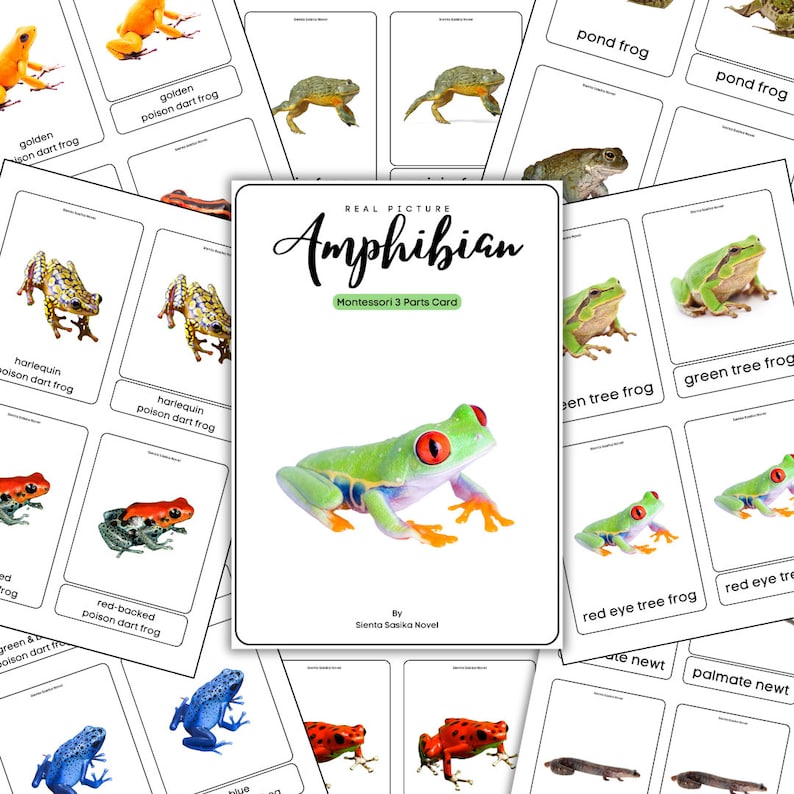 MONTESSORI 3 PARTS CARD: Real Picture of Amphibian | Homeschool, Home ...