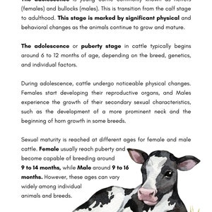 CATTLE UNIT STUDY [nature Unit Study] Total 272 Pages | Cow Unit Study ...