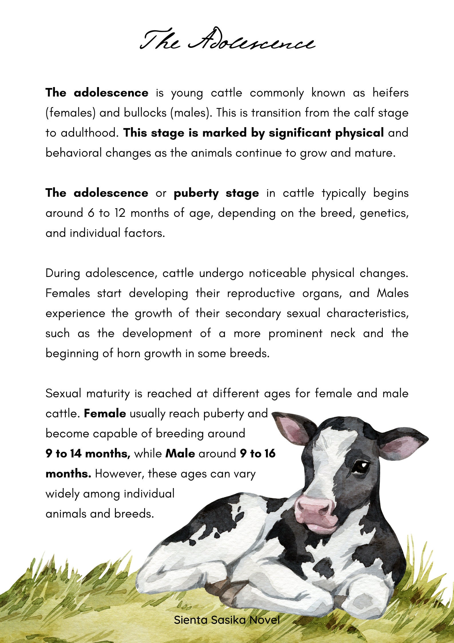 CATTLE UNIT STUDY nature Unit Study Total 272 Pages Cow Unit Study ...