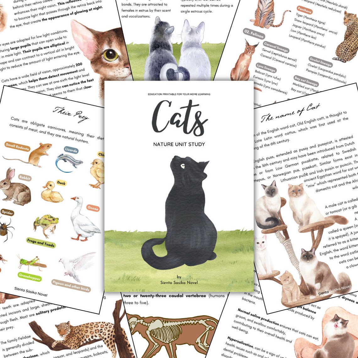 Cats Nature Unit Study: Homeschool Printable (386 Pages) (PDF) - Etsy