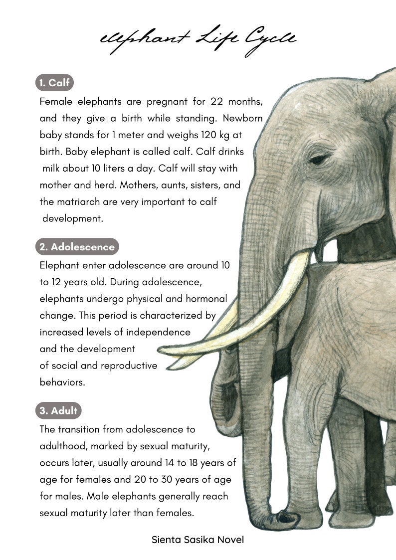 ELEPHANT UNIT STUDY [nature Unit Study] Total 178 Pages | Science ...