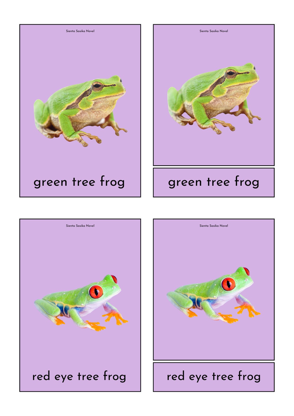 MONTESSORI 3 PARTS CARD: Real Picture of Amphibian Homeschool, Home ...