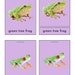 MONTESSORI 3 PARTS CARD: Real Picture of Amphibian Homeschool, Home ...