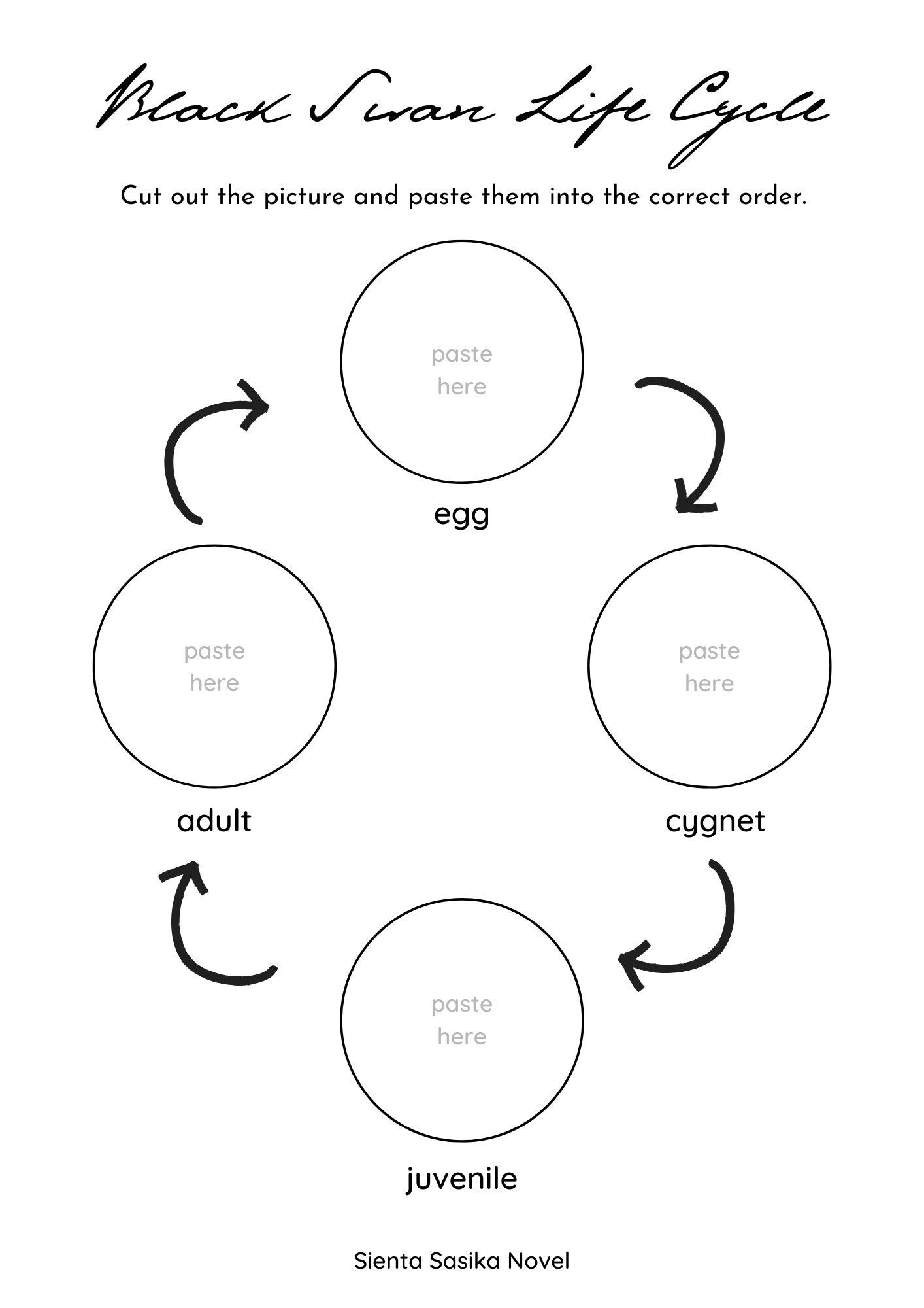 LIFE CYCLE: Black Swan Life Cycle for Your Figurine Life Cycle Material ...