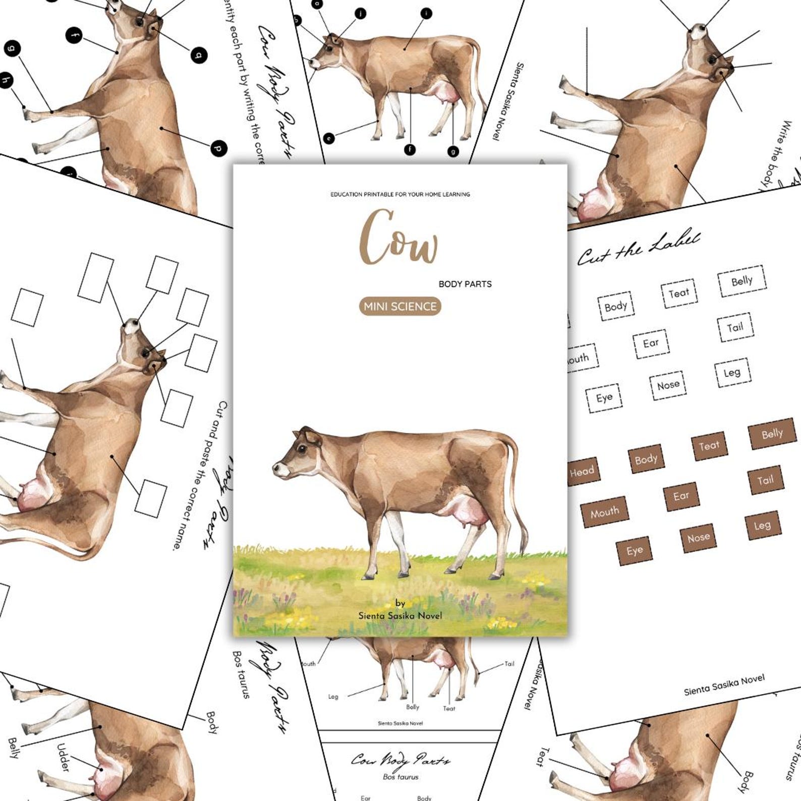 Mini Science: Learning Cow Body Parts, Animal Anatomy - Etsy