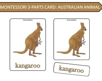Australian Flash Cards - Etsy