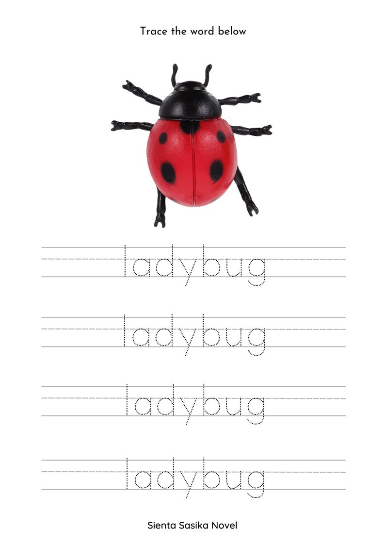 LIFE CYCLE: Ladybug/ladybird Life Cycle for Your Figurine Life Cycle ...