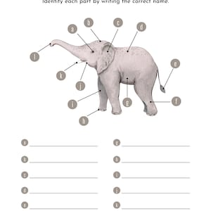 ELEPHANT UNIT STUDY [nature Unit Study] Total 178 Pages | Science ...