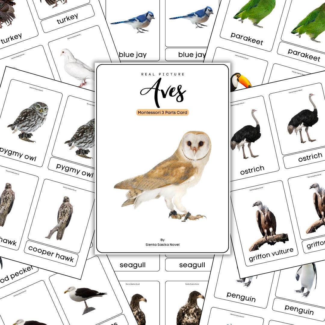 MONTESSORI 3 PARTS CARD: Real Picture of Birds (aves) | Homeschool ...