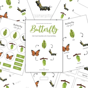 TIGER UNIT STUDY nature Unit Study Total 222 Pages Science, Homeschool ...