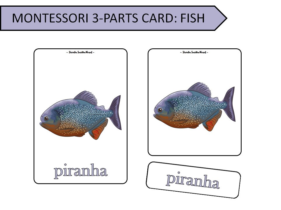 BUNDLE MONTESSORI 3 Parts Card: Fish, Insects, Birds Flash Cards Total ...