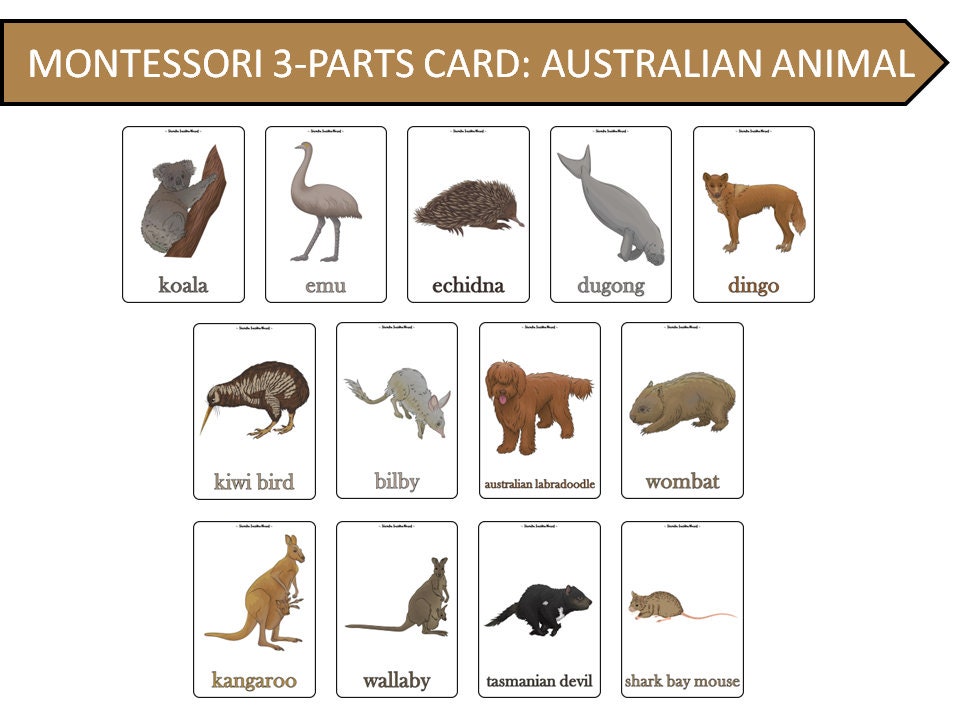 BUNDLE MONTESSORI 3 Parts Card: African, American, Australian, Asian ...